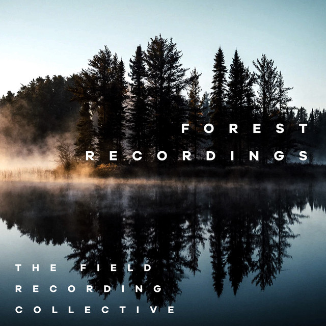 Forest Recordings - Album by The Field Recording Collective | Spotify