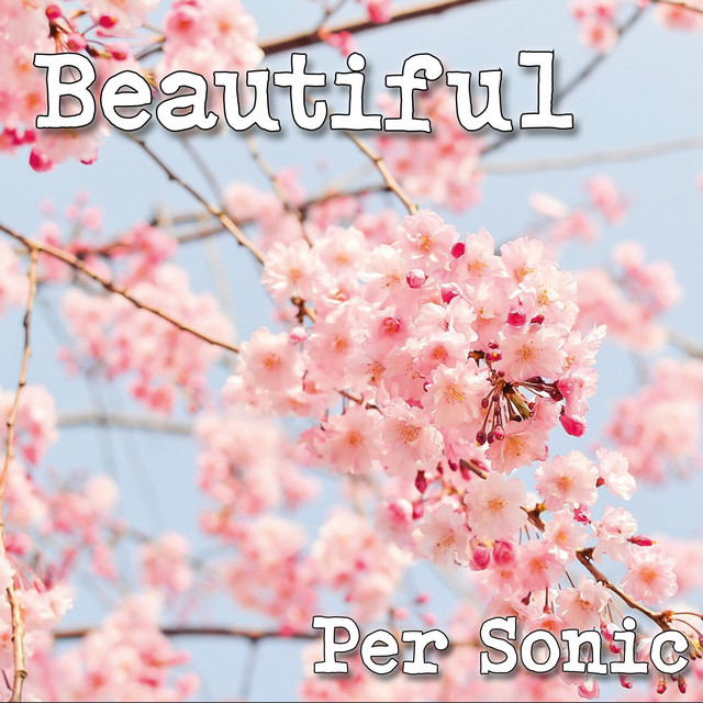 Beautiful - song and lyrics by Per Sonic | Spotify