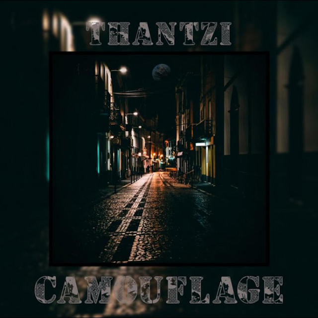 Camouflage - song and lyrics by Thantzi | Spotify
