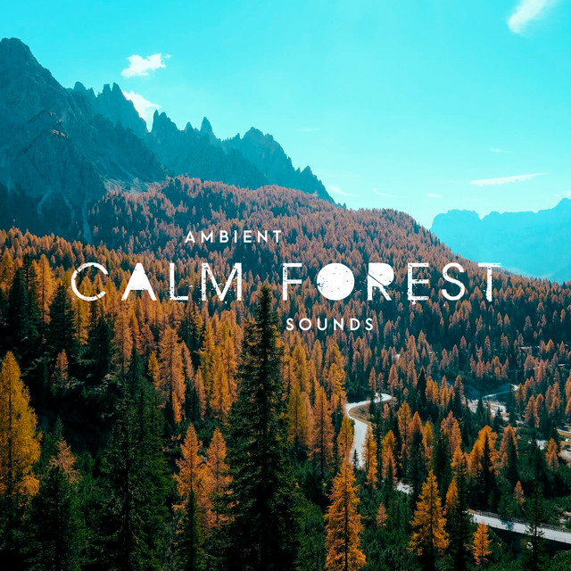 Ambient Calm Forest Sounds - Album by Forest Sounds | Spotify