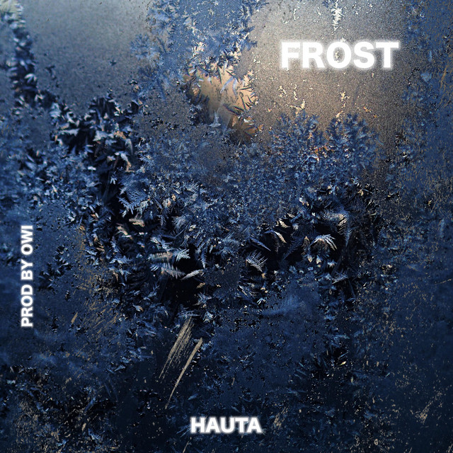 FROST - song and lyrics by Hauta | Spotify