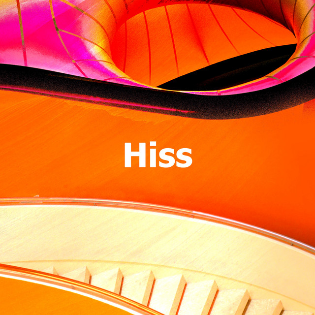 Hiss - Album by The Background Noise Company | Spotify