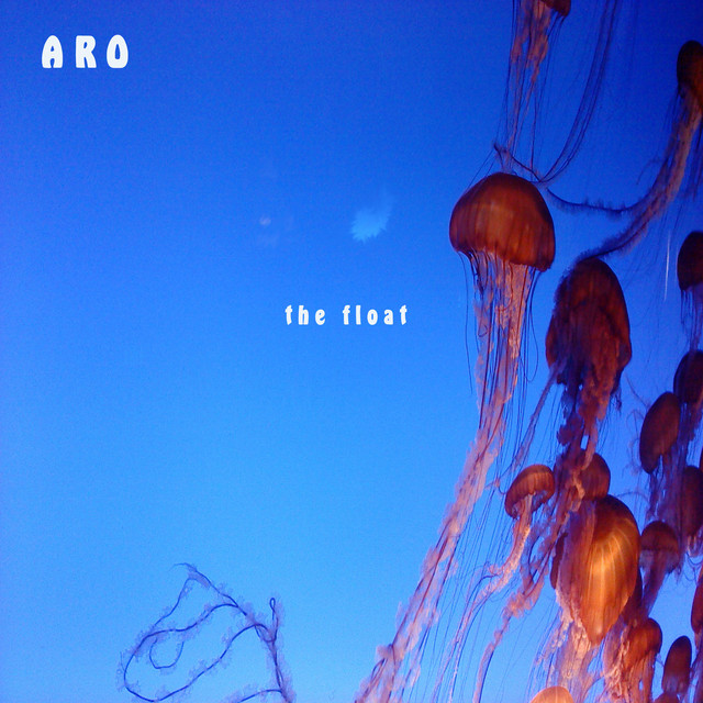 The Float - Album by Aro | Spotify