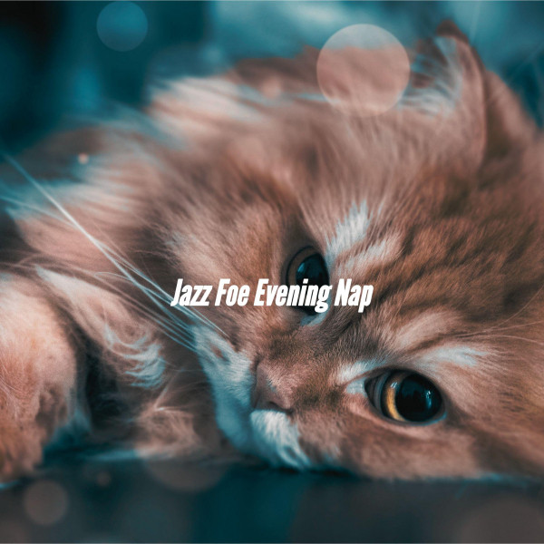 Jazz Foe Evening Nap - Album by Musica para Hoteles Ambiente | Spotify