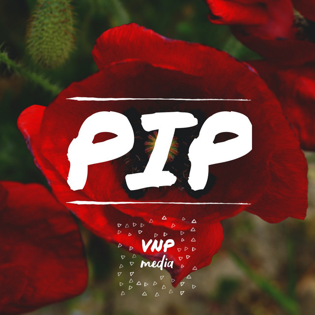 Pip (Instrumental Vinahouse Mix) - Single by Key Producer Music | Spotify