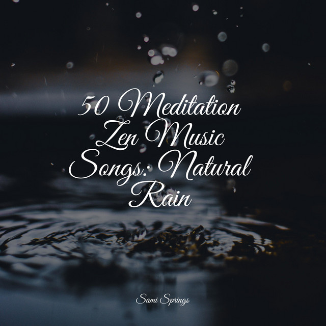 50 Meditation Zen Music Songs: Natural Rain - Album by Rain Shower Spa ...