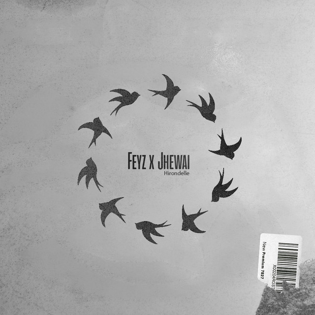 Hirondelle - Single by Feyz | Spotify