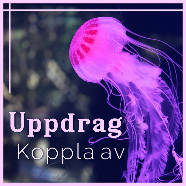 Uppdrag: Koppla av - Anti-stress musik, ljud av fred, daglig dos av ...