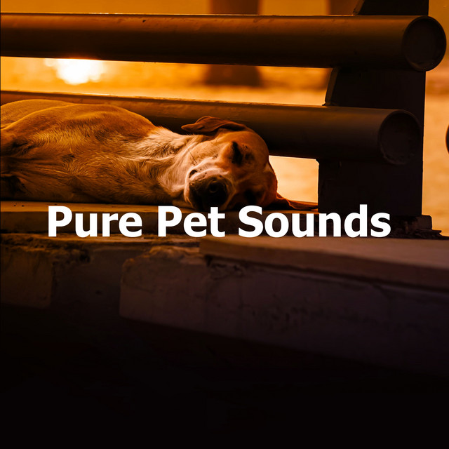 Pure Pet Sounds - Album by Music for Pets Library | Spotify
