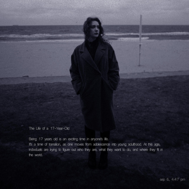17 - Album by Banshee | Spotify