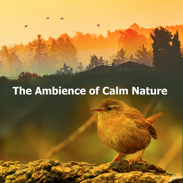 The Ambience of Calm Nature - Album by Animal and Bird Songs | Spotify