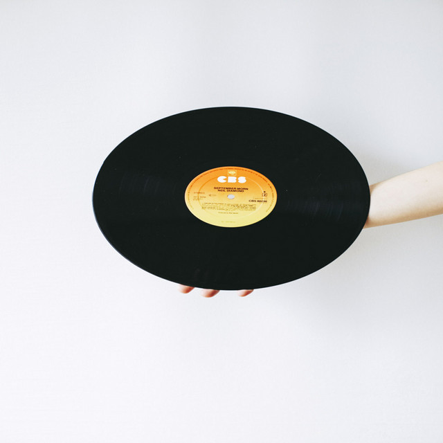 Zoilism: Songs list, genres, analysis and similar artists - Chosic