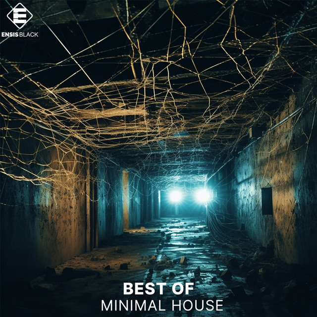 Best Of Minimal House - Compilation by Various Artists | Spotify