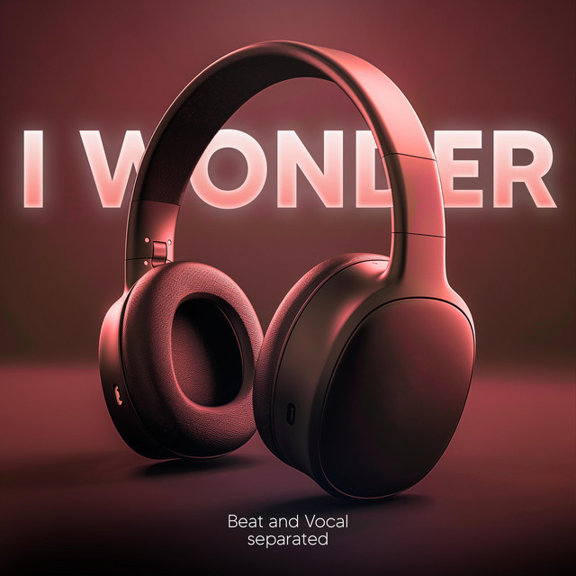 I Wonder (9D Audio) - Single by Shake Music | Spotify