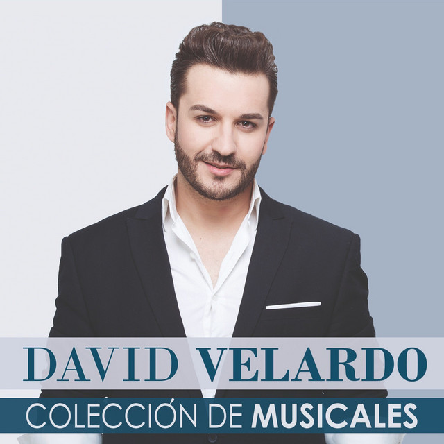 Roto en dos - song and lyrics by David Velardo | Spotify