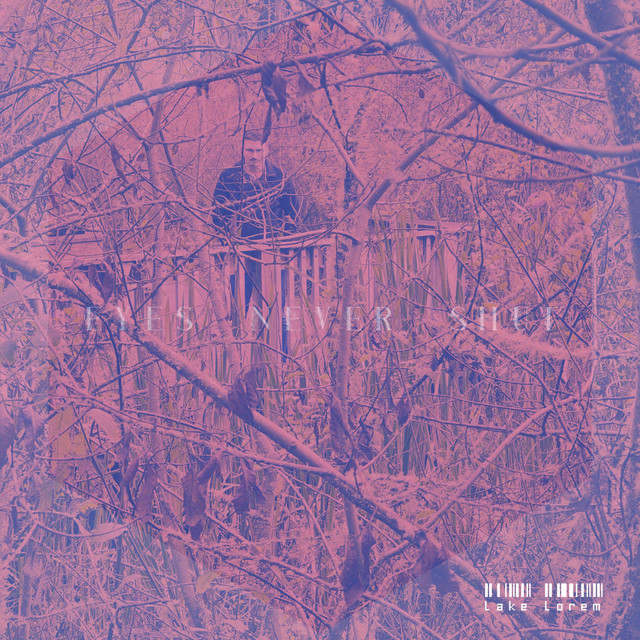 Eyes Never Shut - Single by Lake Lorem | Spotify