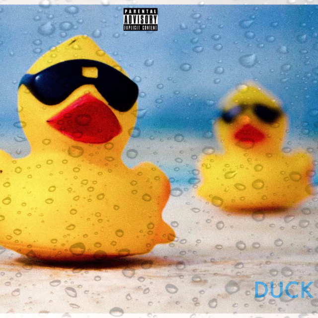 Duck - Single by Wenk Perry | Spotify