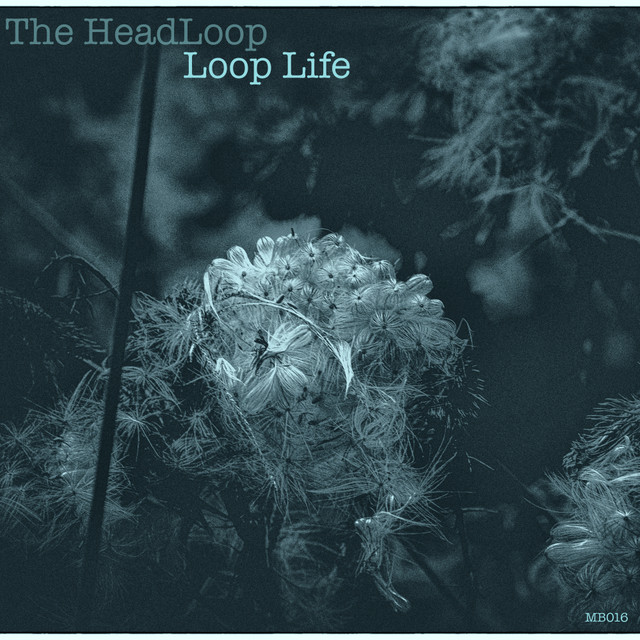 Loop Life - EP by The Headloop | Spotify