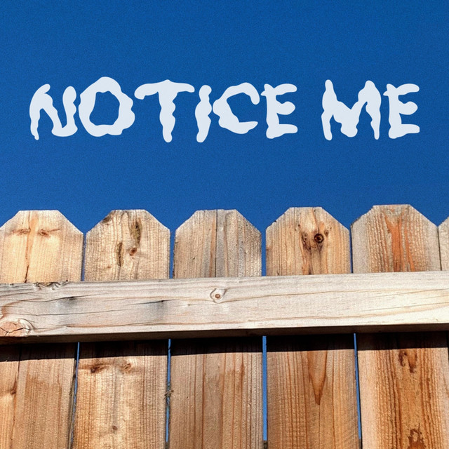 Notice Me - Single by Online Lover | Spotify