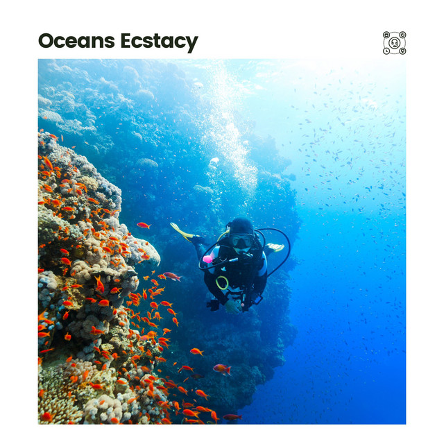 Oceans Ecstacy - Album by Water Sounds Natural White Noise | Spotify