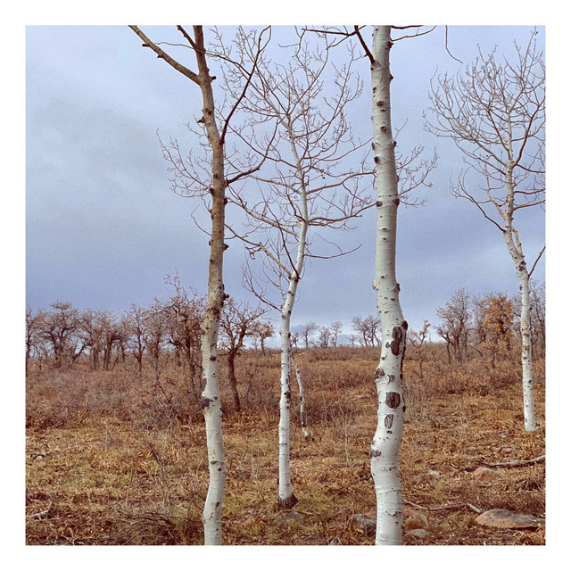 Serotonin - Album by Silent Miles | Spotify