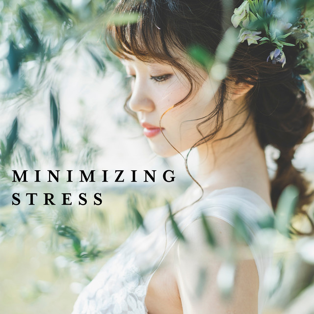 Minimizing Stress: Relaxation Sounds for Calmness, Harmony & Stress ...