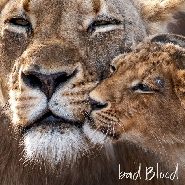 We Can Call Her Hope - Single by Bad Blood | Spotify