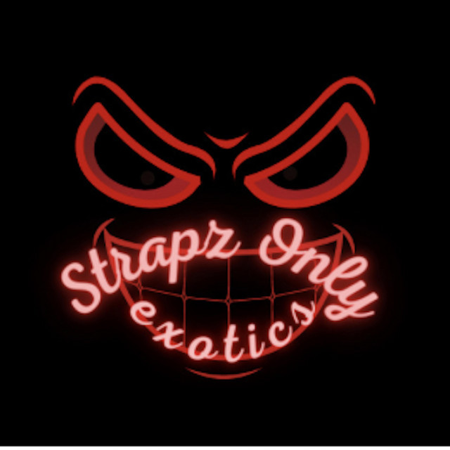 Dip In My Bag Freestyle - Single by Lord Strapz | Spotify