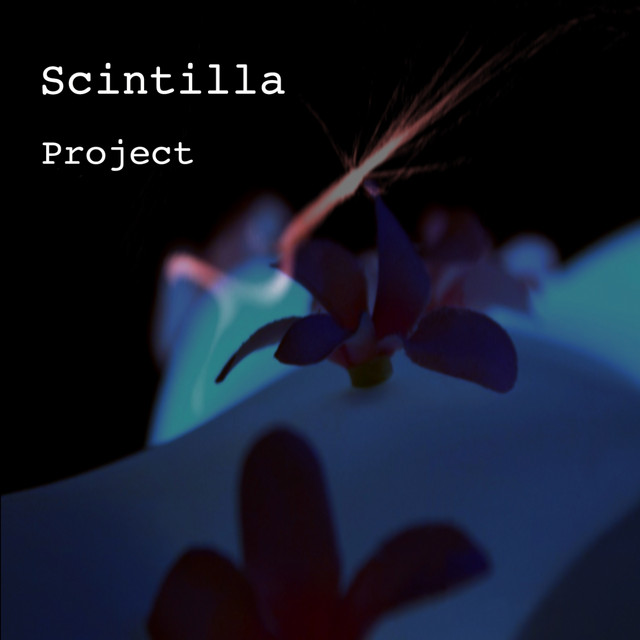 Scintilla Project - Album by Giuliano Scarola | Spotify