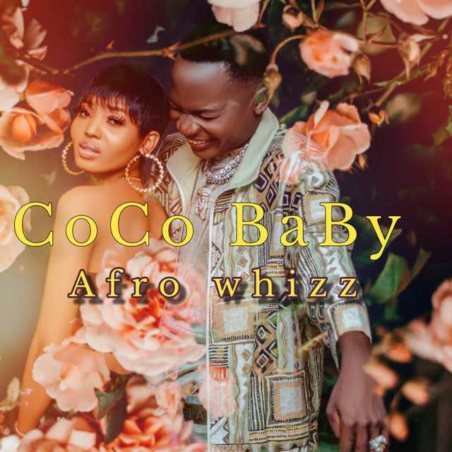 Coco Baby - Single by afro whizz | Spotify