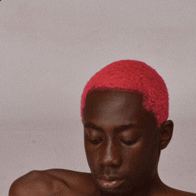 Wyd - song and lyrics by Bosom P-Yung | Spotify