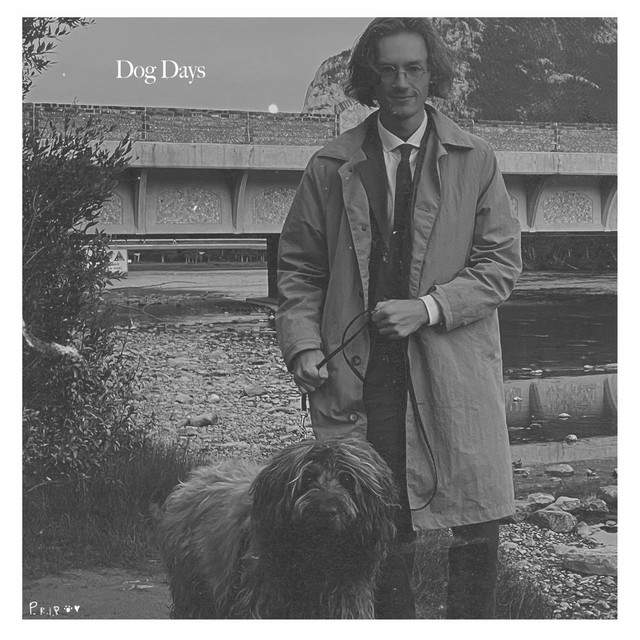 Dog Days - Album by Housecat | Spotify