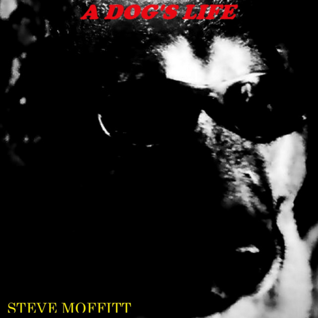 A Dog's Life - Single by Steve Moffitt | Spotify