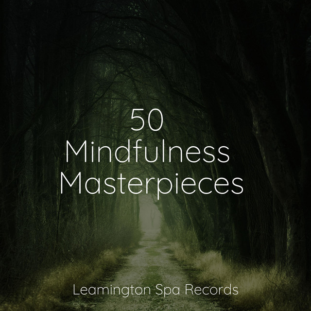 50 Mindfulness Masterpieces - Album by PowerThoughts Meditation Club ...