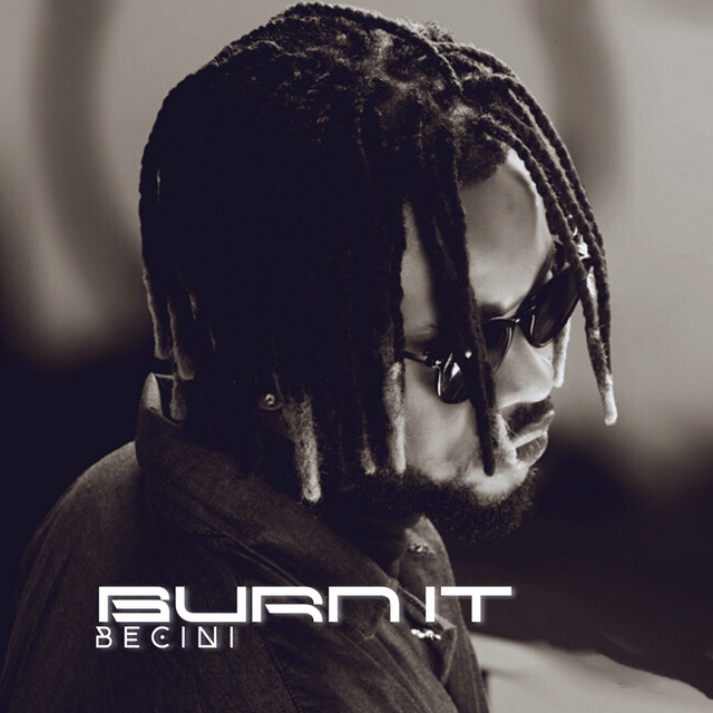 Burn It - Single by Becini | Spotify
