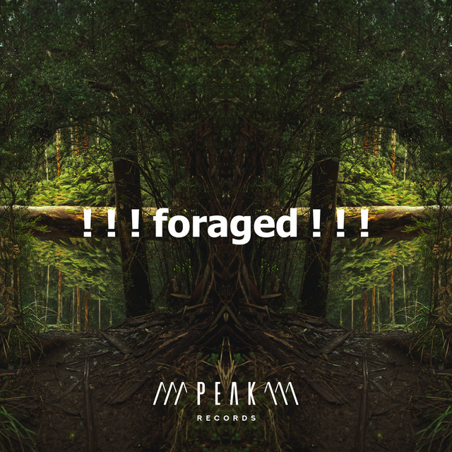 Forest Fire - song and lyrics by Forest Sounds | Spotify