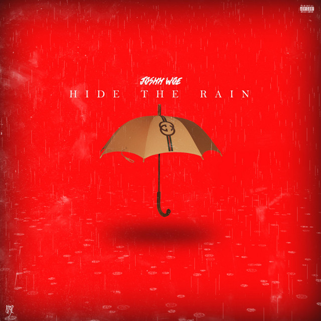 HIDE THE RAIN - Single by Joshhwoe | Spotify