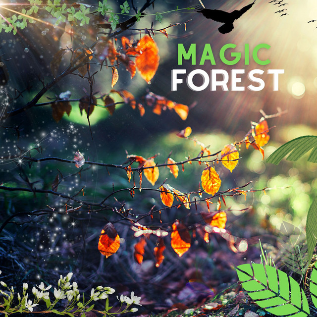 Magic Forest Single By Saymon Cleiton Spotify 7426