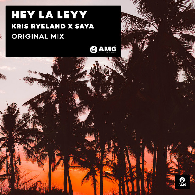 Hey La Leyy - Single by Kris Ryeland | Spotify