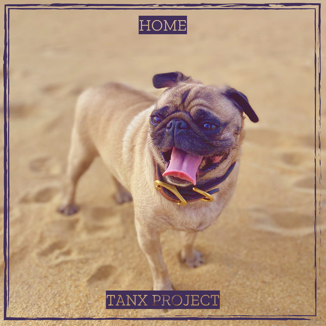Home - Single by Tanx Project | Spotify