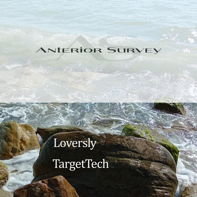 TargetTech - Single by Loversly | Spotify