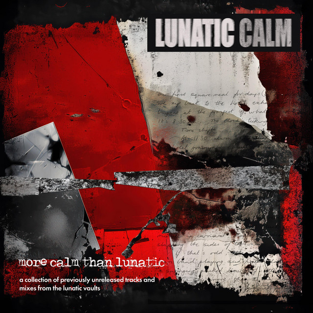 More Calm Than Lunatic - Album by Lunatic Calm | Spotify