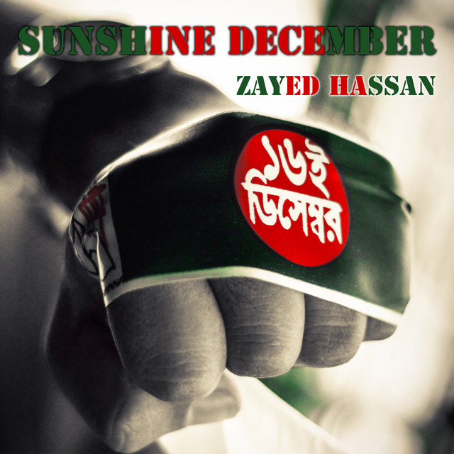 Sunshine December - Single by Zayed Hassan | Spotify