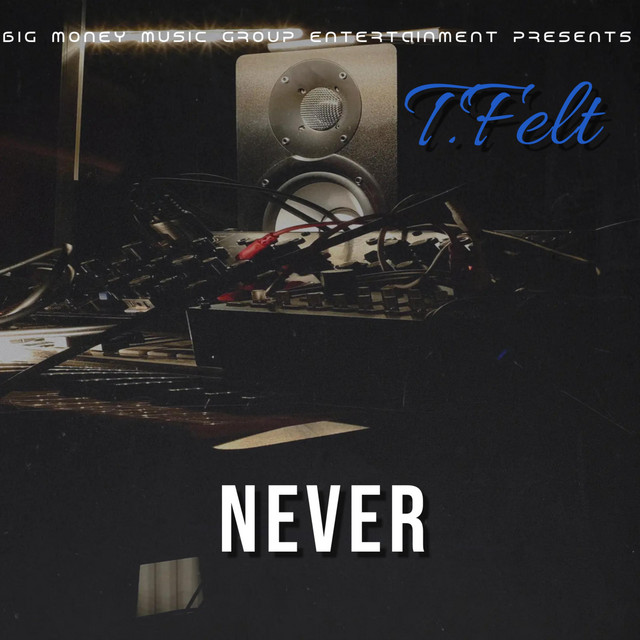 Never Do It Again - Single by T.Felt | Spotify