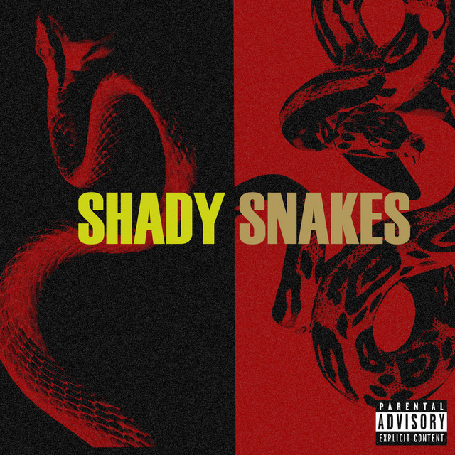 Shady Snakes - Single by Zenithh | Spotify