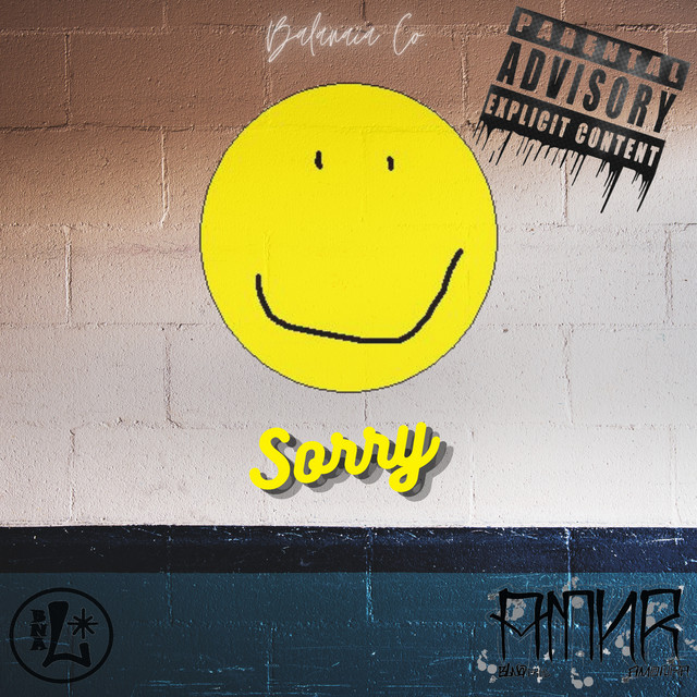Sorry - Single by Amon-rá AMNR | Spotify