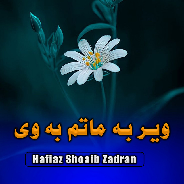 Veer Ba Matam Ba Ba ve - song by Hafiaz Shoaib Zadran | Spotify