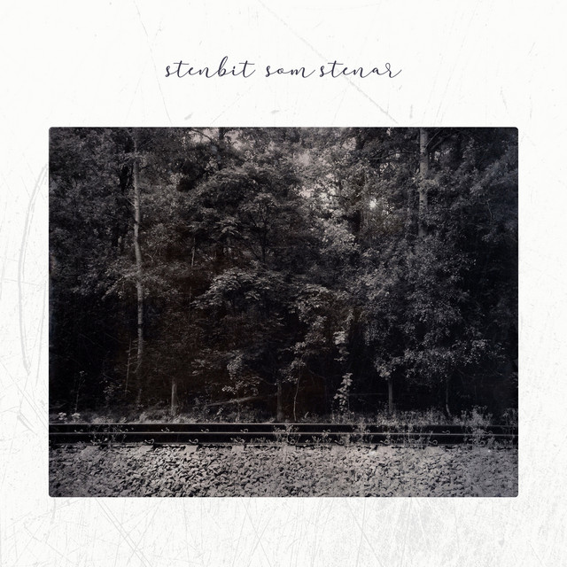 Som stenar - Album by Stenbit | Spotify