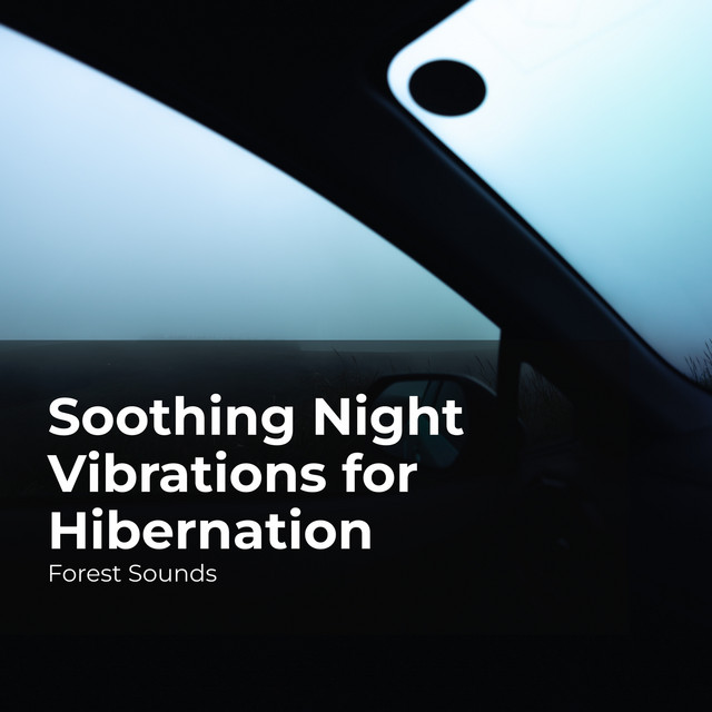 Soothing Night Vibrations for Hibernation - Album by Forest Sounds ...