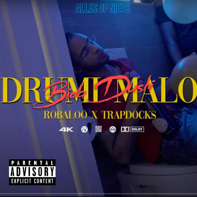 Drumi Malo Biba Dushi (Remix) - Single by Robaloo Frans | Spotify